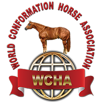 My WCHA Portal